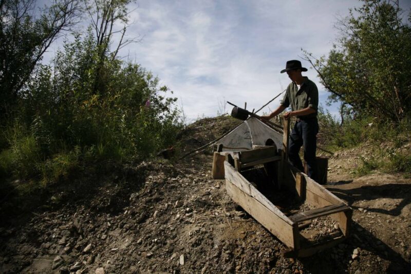 Fairbanks: Gold Dredge 8 Historic Train Tour - Authentic Experiences and What Travelers Say