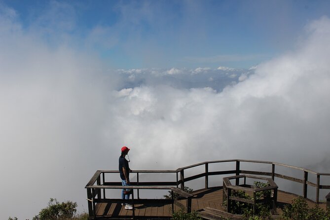 Fantastic! Famous Doi Inthanon National park tour with 2hr trekking - Trekking at Kew Mae Pan (or Pha Dok Siew in Rainy Season)