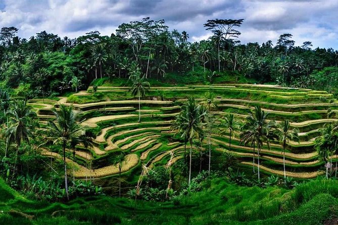 Fantastic Ubud Tour with Jungle Swing - Who Will Love This Tour?