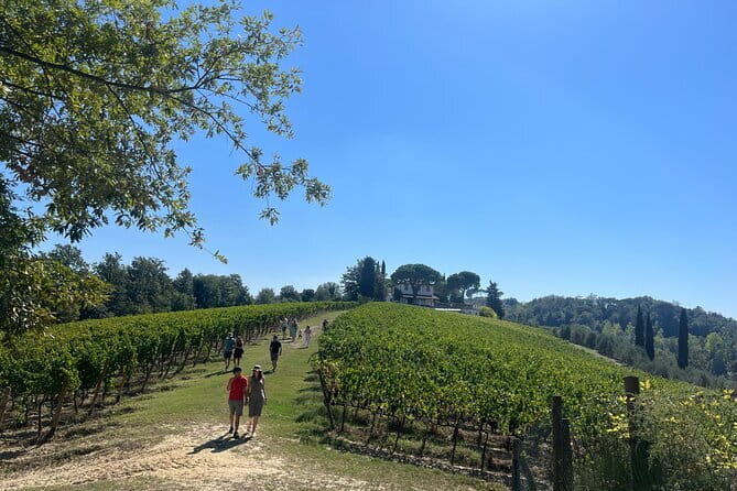 Farm To table Experience on an organic hilltop estate in Tuscany - What Travelers Say