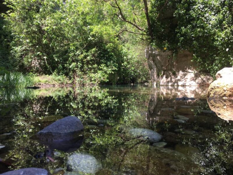 Ferla: Pantalica Nature Reserve UNESCO Tour with Swim Stop - The Itinerary Breakdown