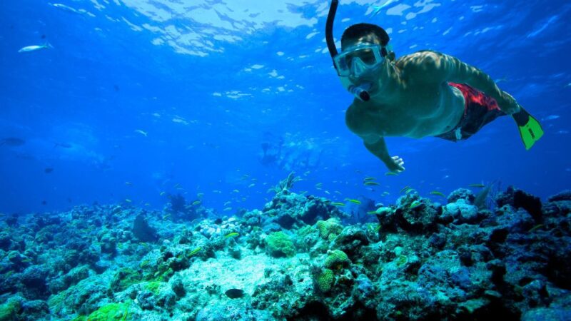 Florida Keys: Full-Day Kayak + Snorkel Coral Reef Adventure - The Value of the Experience