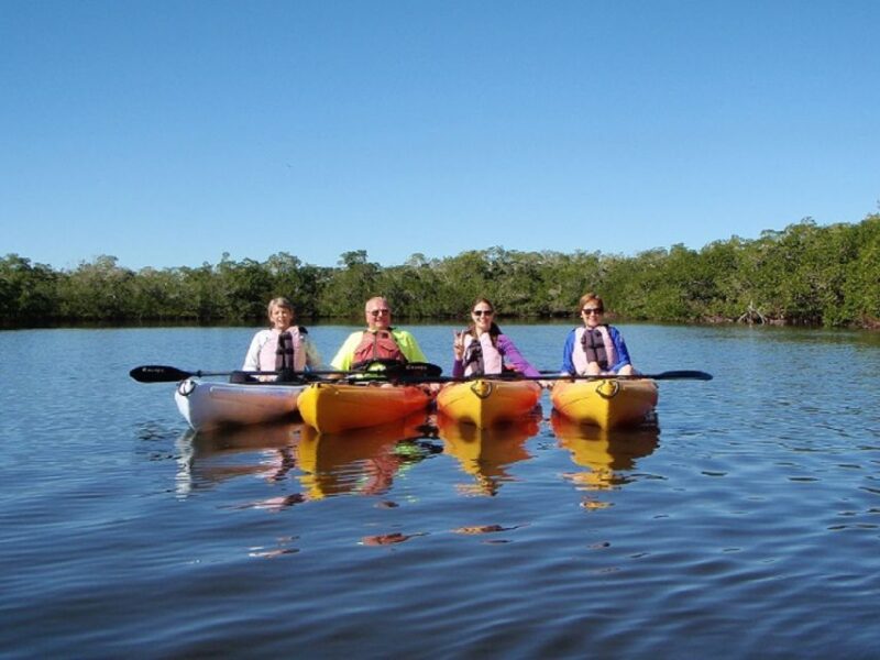 Fort Myers: Guided Kayak or SUP Tour in Pelican Bay - The Itinerary and What to Expect
