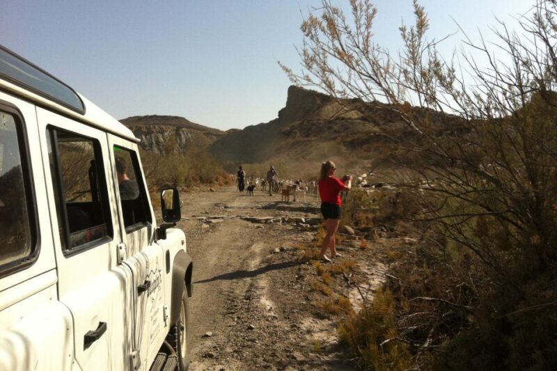 From Almeria: Tabernas Desert 4WD joyriding Tour - What You’ll See and Learn