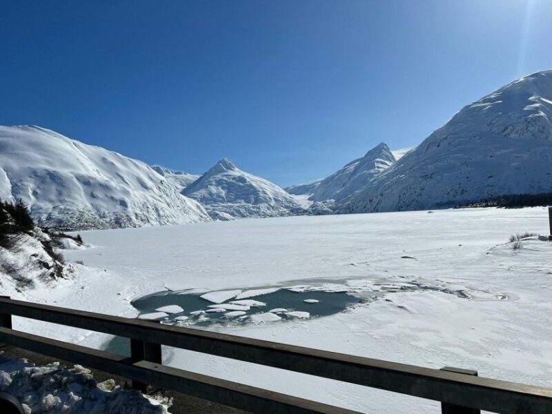 From Anchorage: Alaska Wildlife Center & Turnagain Arm Tour - Beluga Point and the Search for the Enchanting Beluga Whale