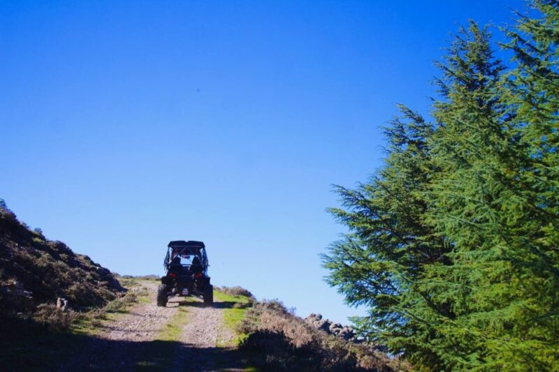 From Aritzo: buggy tour on Gennargentu - What Travelers Say