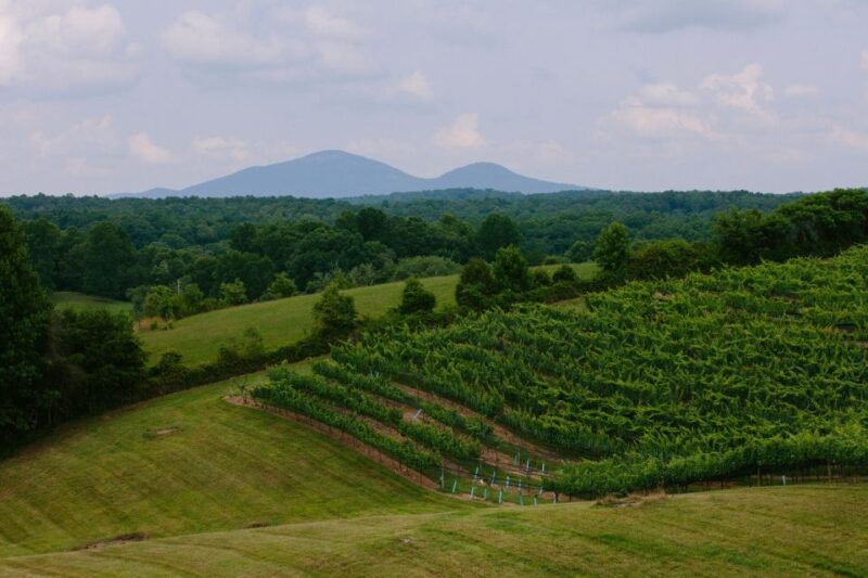 From Atlanta: Half-Day Wine Country Tour - Who Should Consider This Tour?