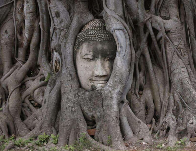 From Bangkok: Customizable Ayutthaya Full-Day Guided Tour - Practical Details That Matter