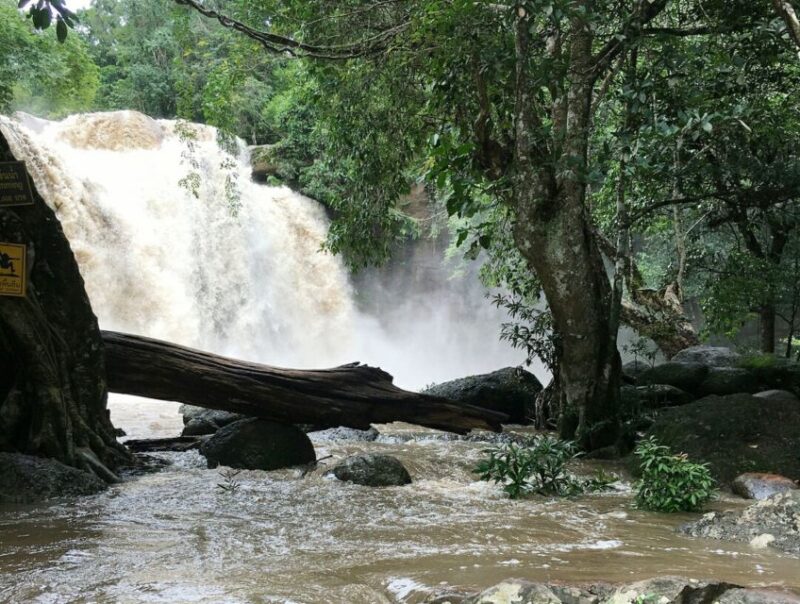 From Bangkok: Khao Yai National Park Jungle Trek with Lunch - A Closer Look at the Itinerary