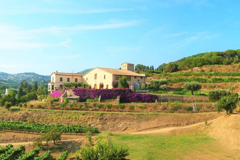 From Barcelona: Private Alella Wine Tour by Electric Bike - An Authentic Blend of Nature, Culture, and Wine