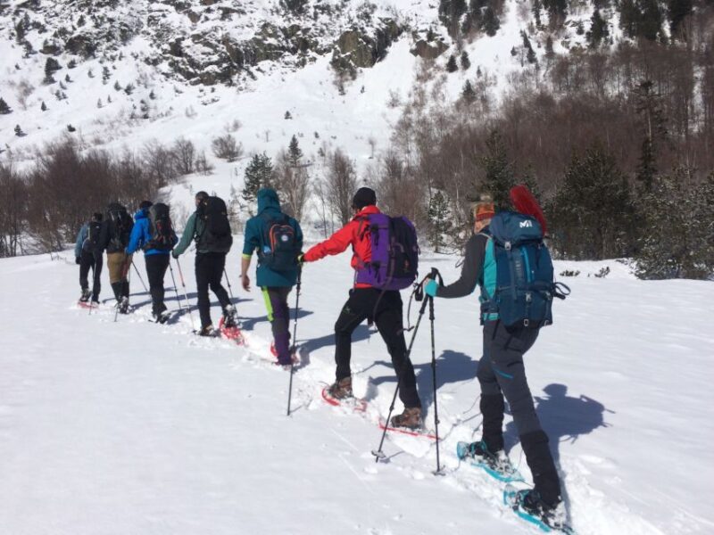 From Barcelona: Snowshoeing in the Pyrenees - The Itinerary: What to Expect from Start to Finish