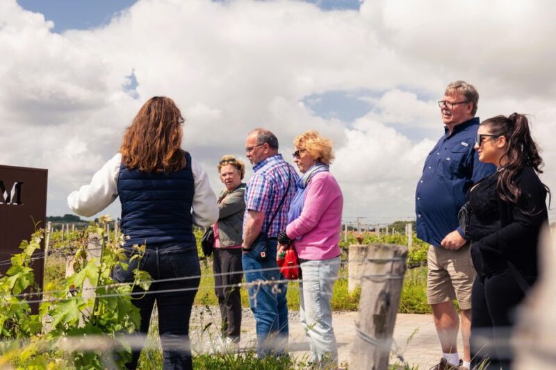 From Bordeaux: Medoc Winery Morning Tour with Wine Tasting - A Deep Dive into the Experience