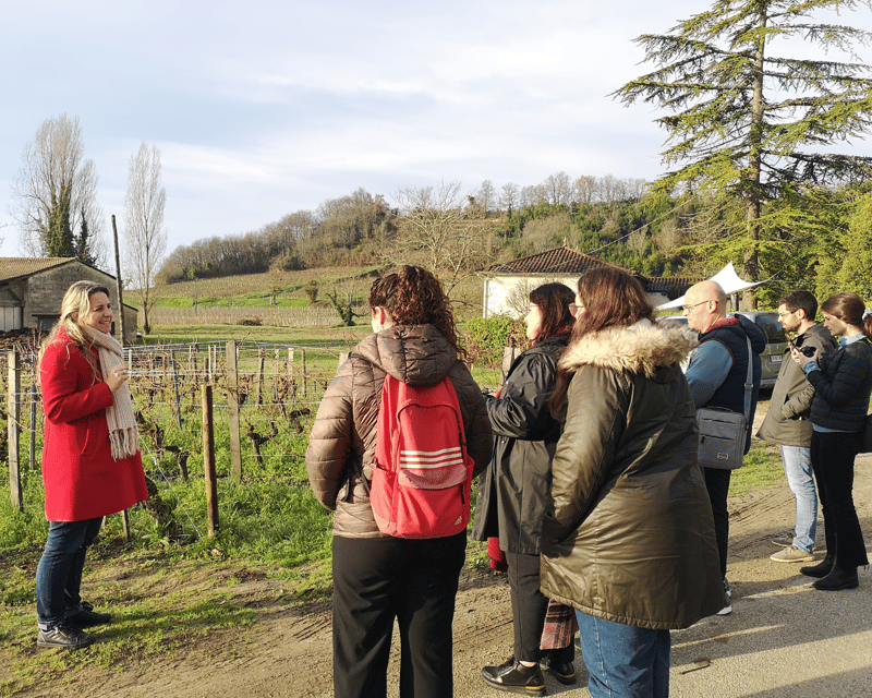 From Bordeaux: Saint-Émilion Half-Day Tour with Wine Tasting - The Value of This Tour