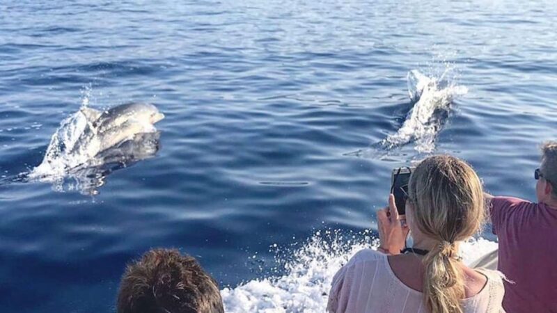 From Cala Gonone: naturalistic excursion on a RIB - Who Will Love This Tour?