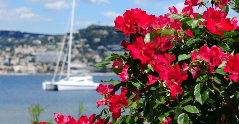 From Cannes:Shore excursion to Grasse,Antibes,St PauldeVence - Discovering the Heart of Provence: The Itinerary Breakdown