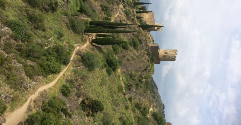 From Carcassonne:Lastours Castles & Carcassonne Guided Tour - Why Choose This Tour?