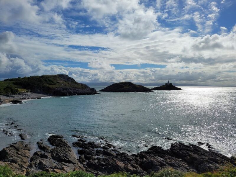 From Cardiff: The Wandering Bard's Swansea Bay Day Tour - Practical Considerations