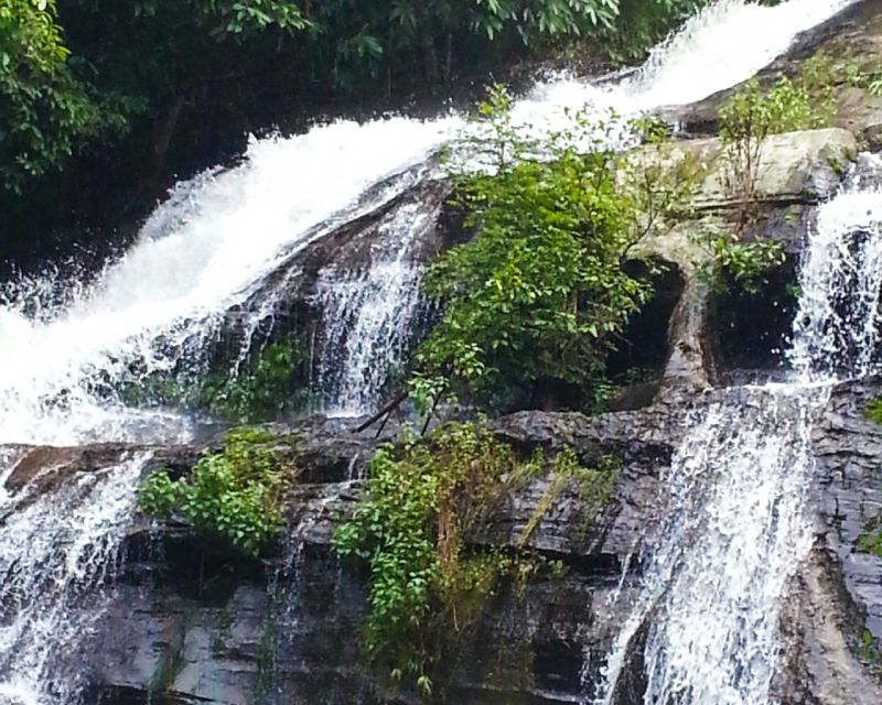 From Chiang Mai: Doi Inthanon National Park Day Trip & Hike - Who Will Love This Tour?