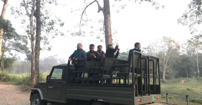 From Chitwan : Jeep Safari,Canoeing,Forest walk Day Tour - The Itinerary Breakdown