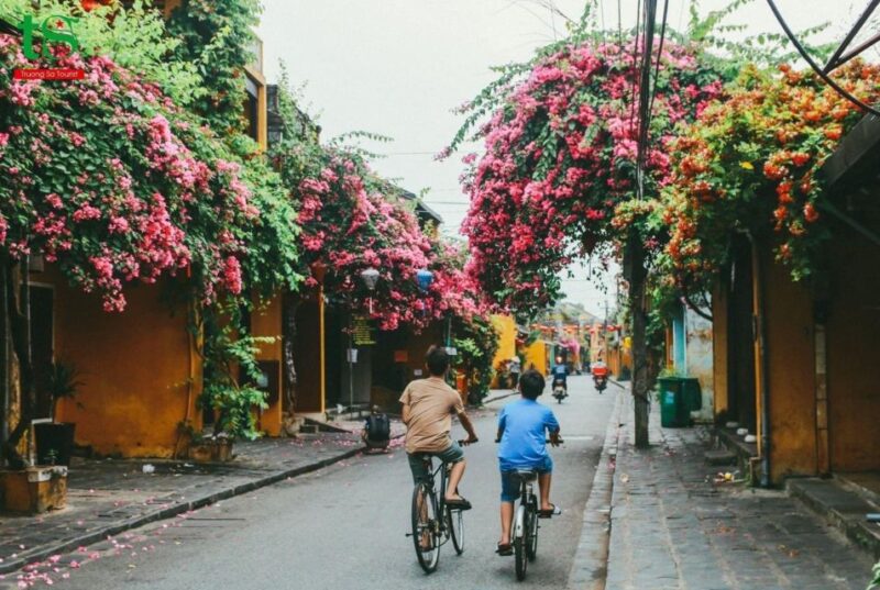 From Da Nang: Half day Linh Ung-Marble mountain-Hoi An tour. - Practical Details: What to Expect and Tips for Travelers