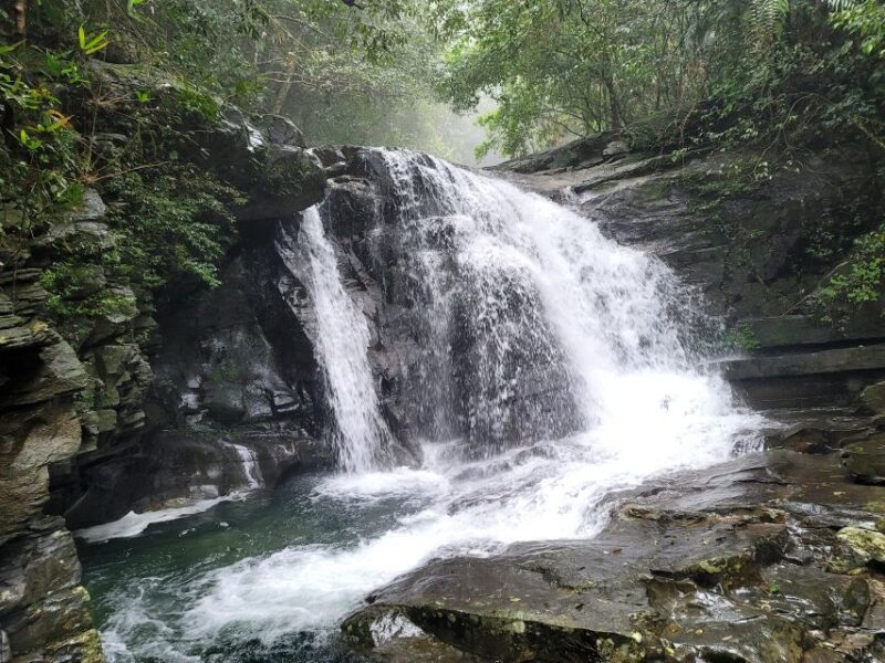 From Da Nang or Hoi An: Bach Ma National Park Trek & Lunch - Practical Details & Value