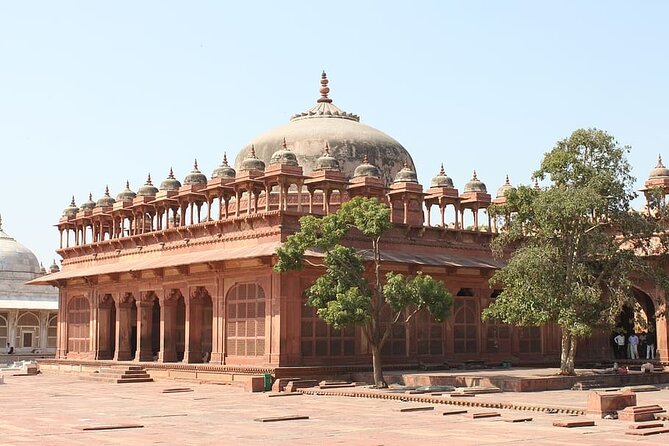 From Delhi: Taj Mahal Sunrise Tour with Elephant SOS Centre - Who Would Love This Tour?