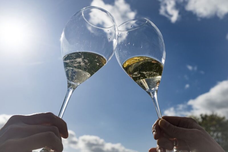 From Epernay : Bubble Champagne Tour 6 tastings - The Value of the Experience