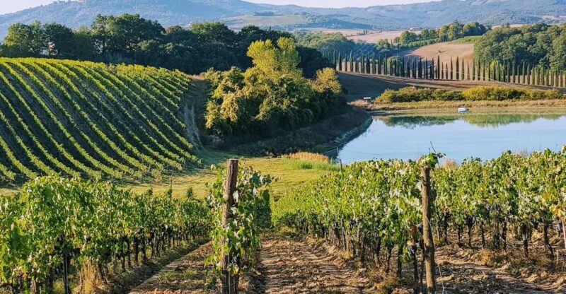 From Florence: Chianti Wine Tastings at Sunset Day Trip - The Wine Tastings and Food