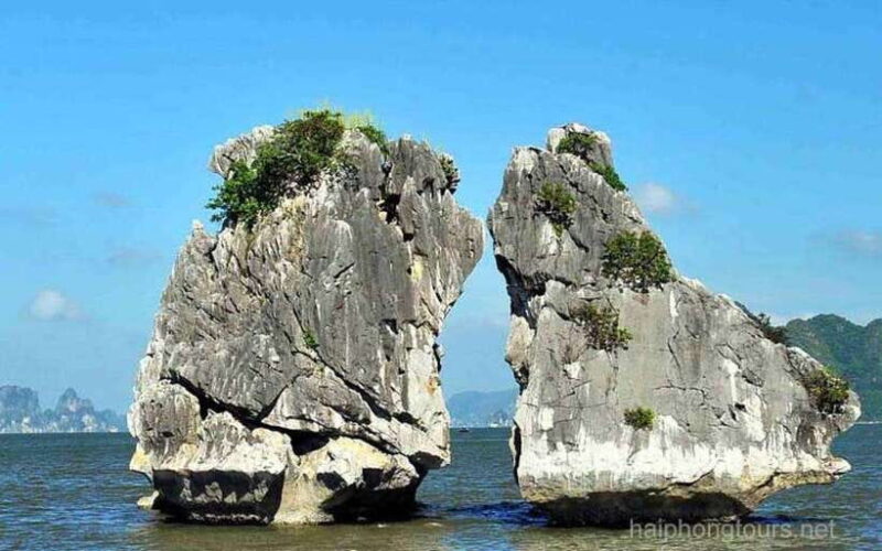 From Ha Long: Halong Bay Tour 6 hours from Tuan Chau island - What’s Included and What’s Not