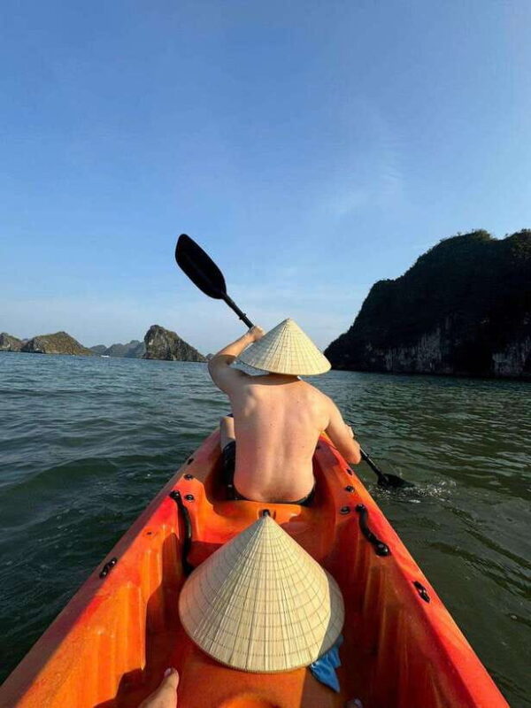 From Ha Noi: Ha Long Bay - 5star cruise 2days trip - Who Would Enjoy This Tour?