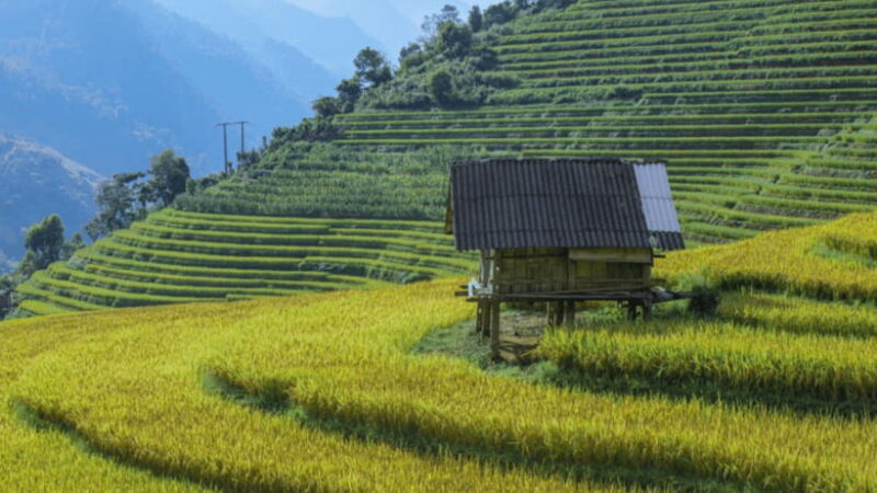 From Hanoi: 3-Day Sapa - Bac Ha Market Trekking Tour - Transportation, Accommodation, and Meals