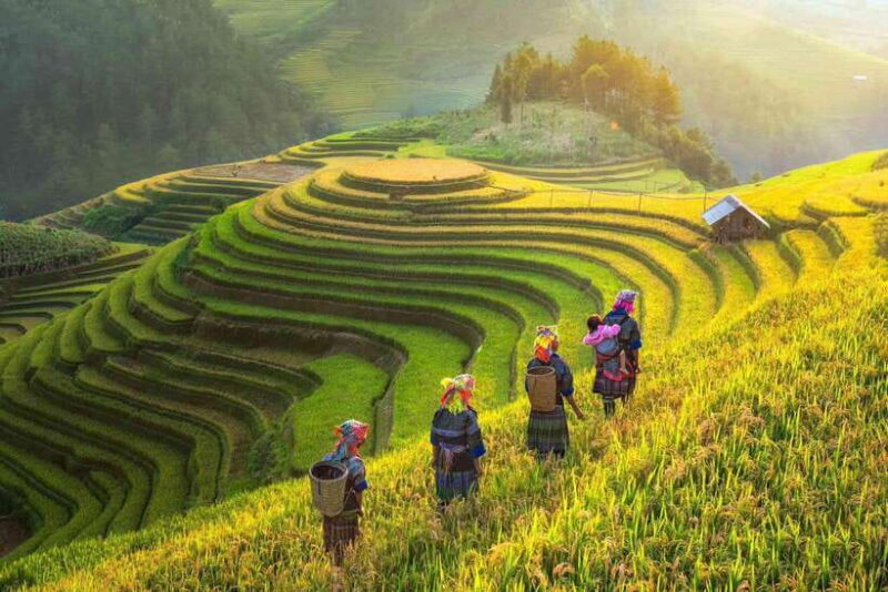 From Hanoi: 3-Day Sapa Trekking (sleep at hotel & homestay) - The Itinerary in Detail
