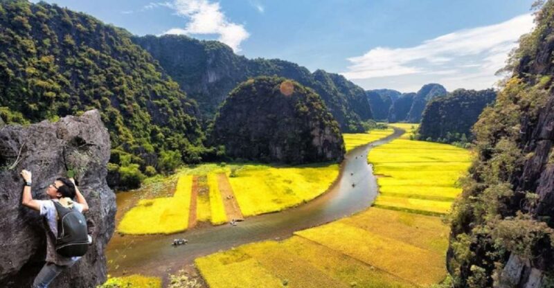 From Hanoi: Bai Dinh and Tràng An Guided Day Trip with Lunch - What Makes This Tour Stand Out?