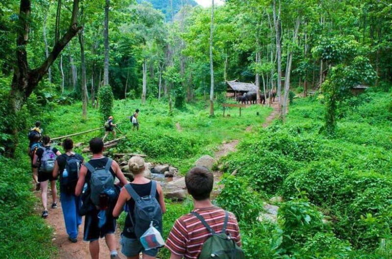From Hanoi: Cat Ba National Park and Lan Ha Bay 2-Day Tour - Discovering Cat Ba: A Natural Marvel