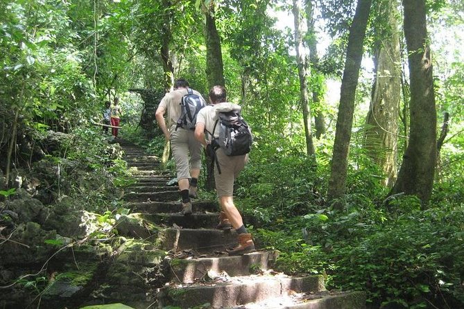 From Hanoi: Cuc Phuong National Park Day Trip by Private Car - The Sum Up