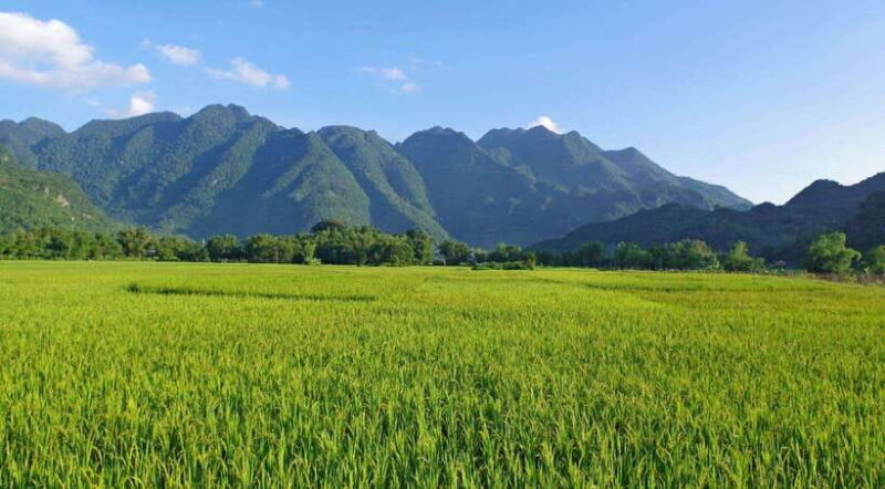 From Hanoi: Mai Chau and Pu Luong Nature Reserve 2-Day Tour - Biking Through Villages and Local Life