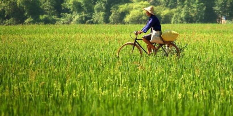 From Hanoi: Mai Chau Valley Day Trip with Lunch - Analyzing the Value