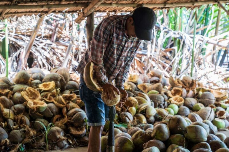 From Ho Chi Minh: Mekong Delta with Ben Tre 1 Day Tour - A Detailed Breakdown of the Itinerary