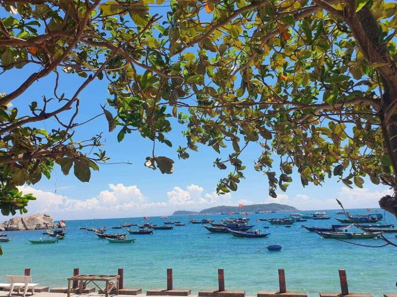 From Hoi An: Cu Lao Cham Day Trip with Seafood Lunch - Whats Included and What’s Not