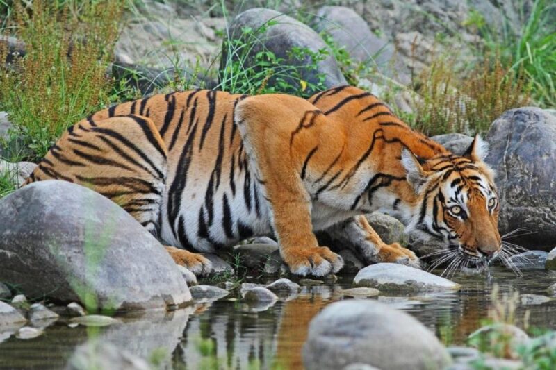 From Kathmandu: 3-Day Chitwan National Park Tour - The Journey to Chitwan: Scenic and Practical