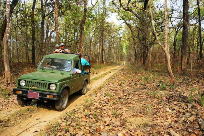 From Kathmandu/Pokhara: 2, 3, or 4-Day Chitwan Jungle Safari - Diving Into the Itinerary