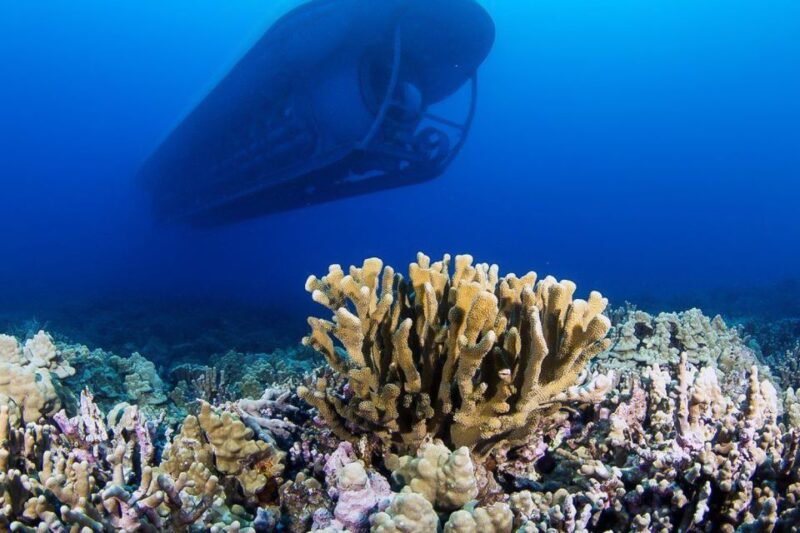 From Kona: Big Island Underwater Submarine Adventure - Who Will Love This Tour?