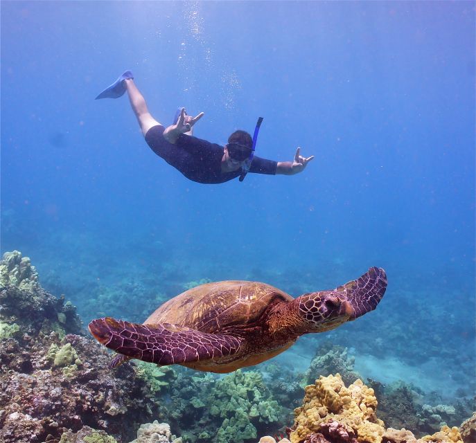 From Ma'alaea: AM Turtle Town Snorkel Aboard Quicksilver - Itinerary Breakdown