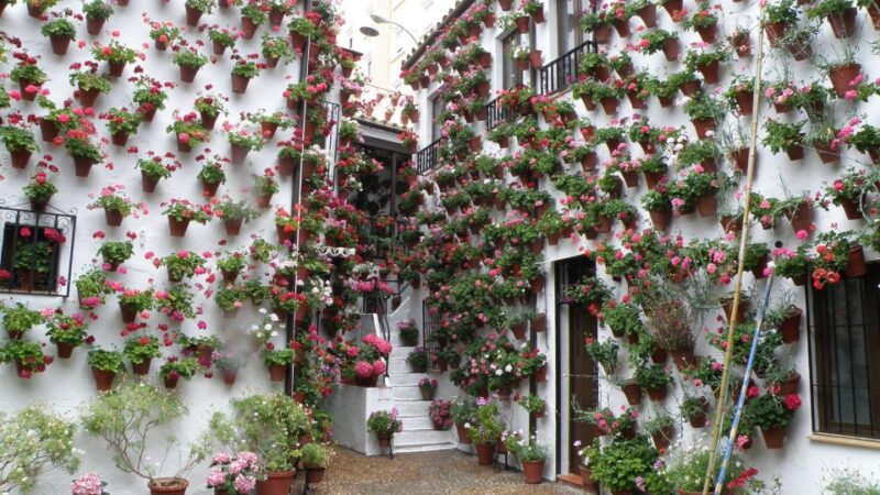 From Malaga: Private day trip to Cordoba, Mosque & Cathedral - Detailed Breakdown of the Experience