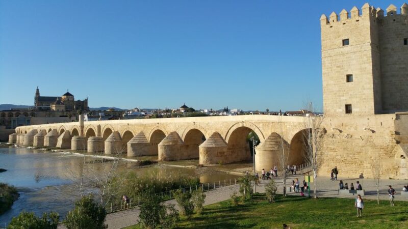 From Malaga: Private Guided Walking Tour of Córdoba - The Experience on the Ground