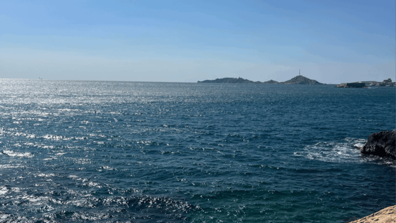 From Marseille to Cassis: a journey to the heart of the calanques and traditions. - Transportation and Group Size