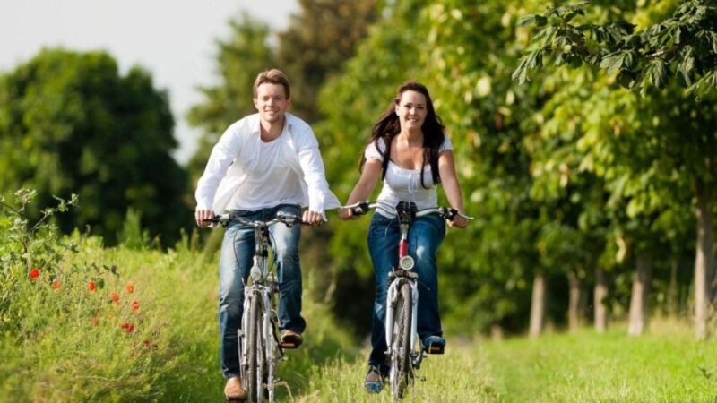 From Mattituck: North Fork Area Bike Tour with Food Tasting - The Sum Up