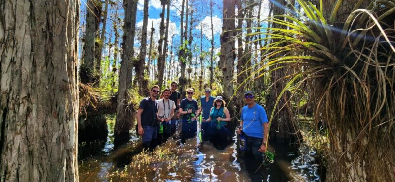 From Miami: Everglades Tour w/ Wet Walk, Boat Trips, & Lunch - Why This Tour Stands Out