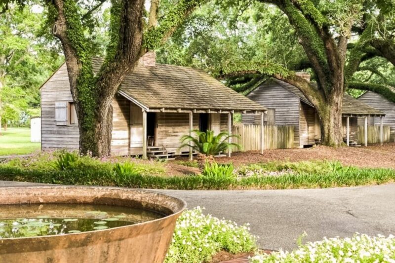 From New Orleans: Oak Alley Plantation Tour - The Overview: Why This Tour Stands Out