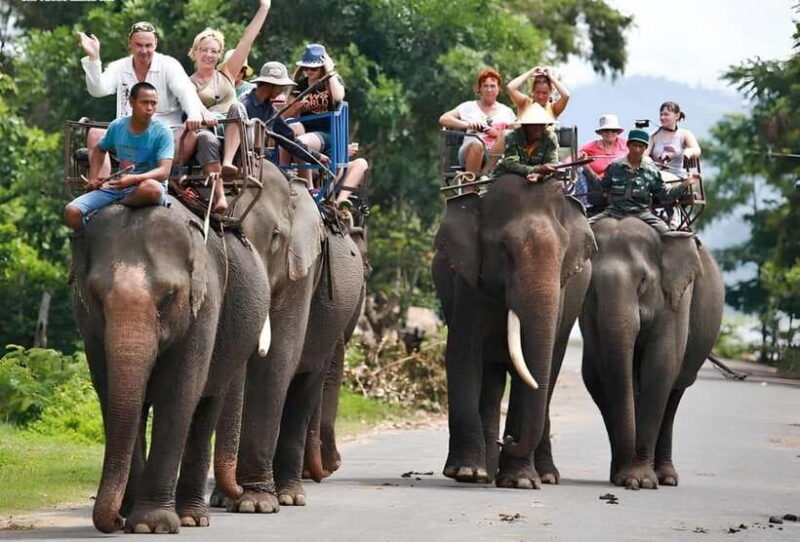 From Nha Trang: 1 Day Dalat Tour - Why This Tour Delivers Value